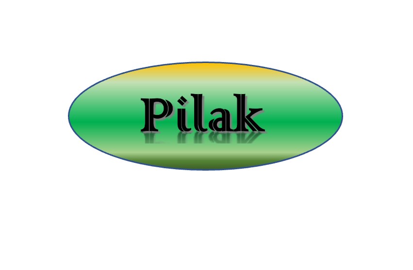 Firma usługowa "Pilak"